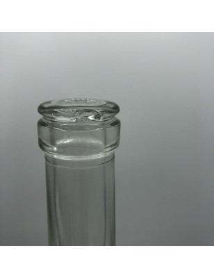 Old glass bottle | 33 cl | Modèle déposé